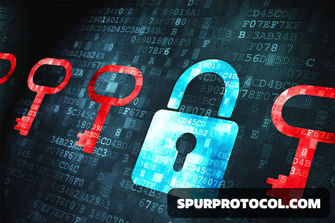 UNDERSTANDING CRYPTOCURRENCY AND ITS SECURITY - SpurProtocol