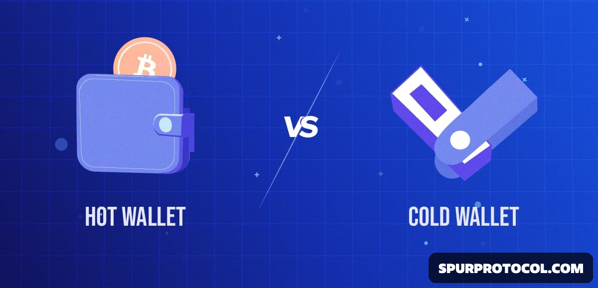 Understanding Wallets: Hot vs. Cold Storage - SpurProtocol