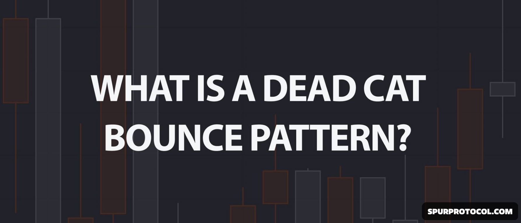 WHAT IS A DEAD CAT BOUNCE - SpurProtocol