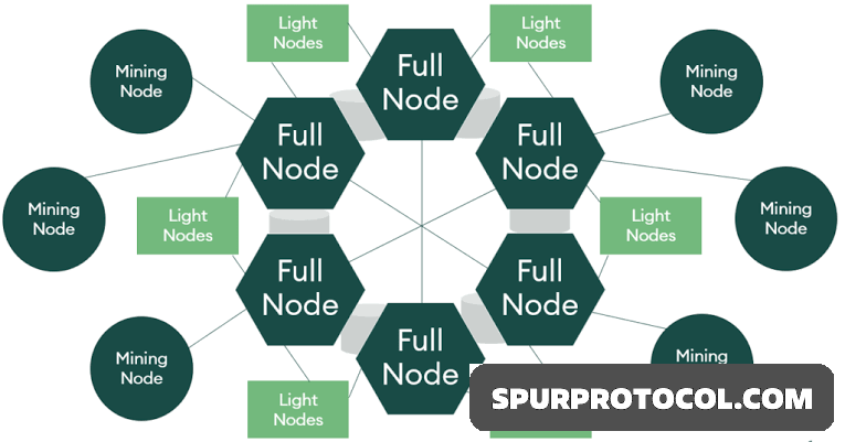 What is a Full Node? - SpurProtocol