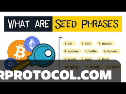 WHAT IS A SEED PHRASE? - SpurProtocol