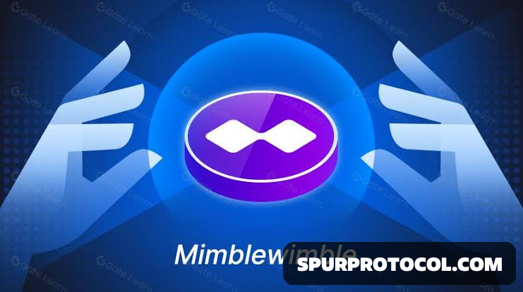 What is Mimblewimble ? - SpurProtocol