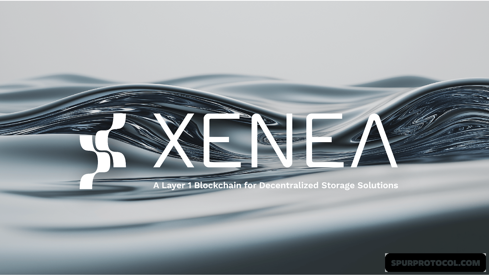 WHAT IS XENEA AND HOW TO JOIN. - SpurProtocol