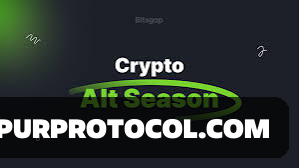 WHAT REALLY IS AN ALT SEASON? - SpurProtocol