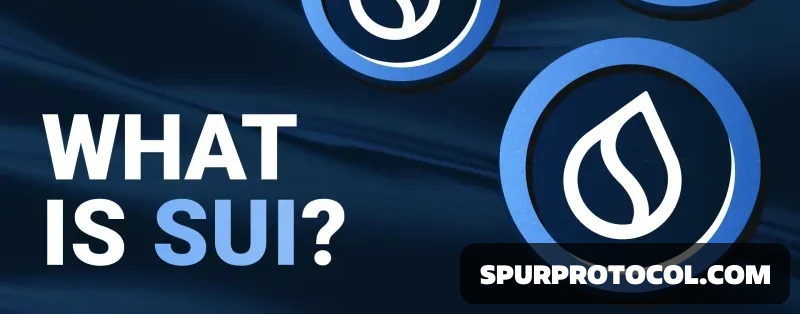 What You Need To Know About Sui Blockchain - SpurProtocol